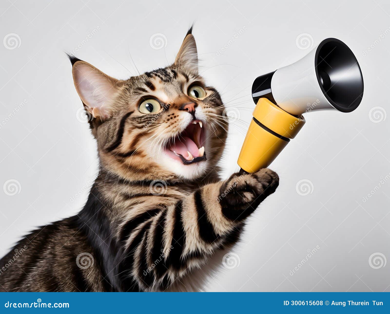 A Funny Cat with a Loudspeaker Stock Photo - Image of news, manager ...