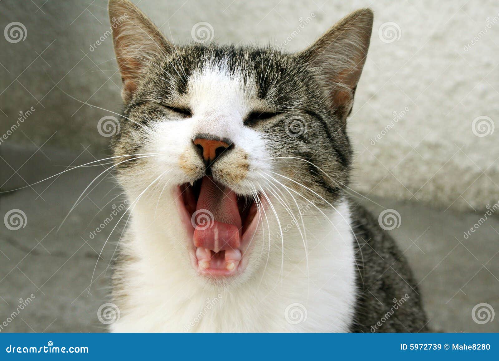 301 Moved Permanently