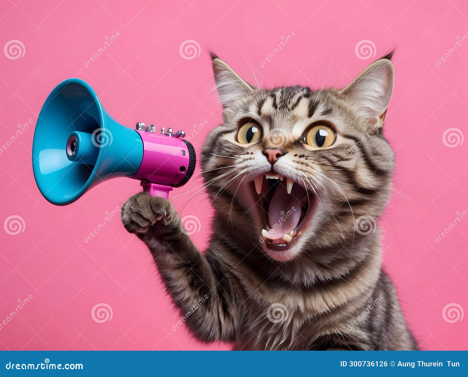 A Funny Cat Screaming with a Loudspeaker Stock Photo - Image of yellow ...