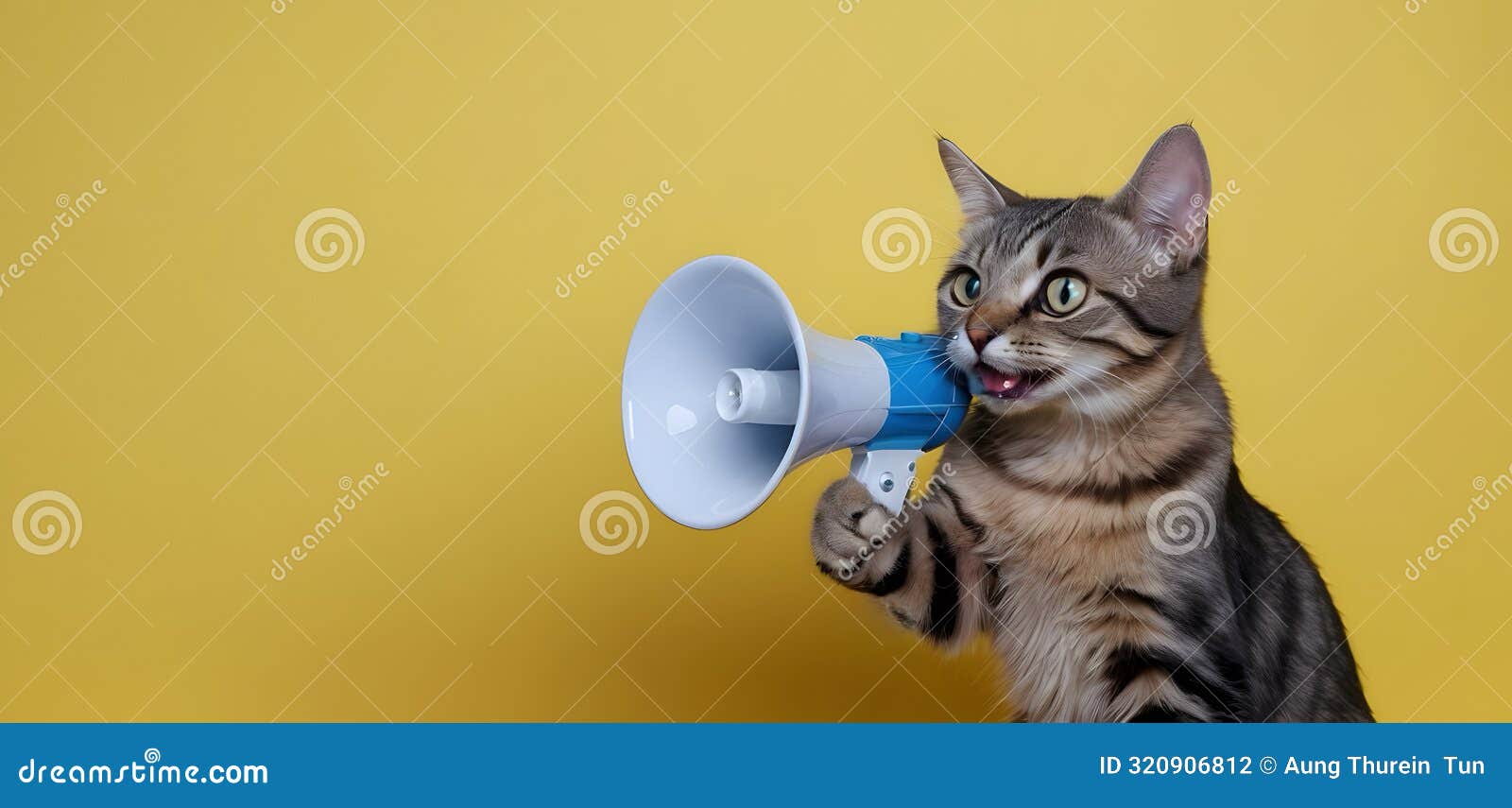 A Funny Cat Screaming with Megaphone with an Isolated Background Stock ...