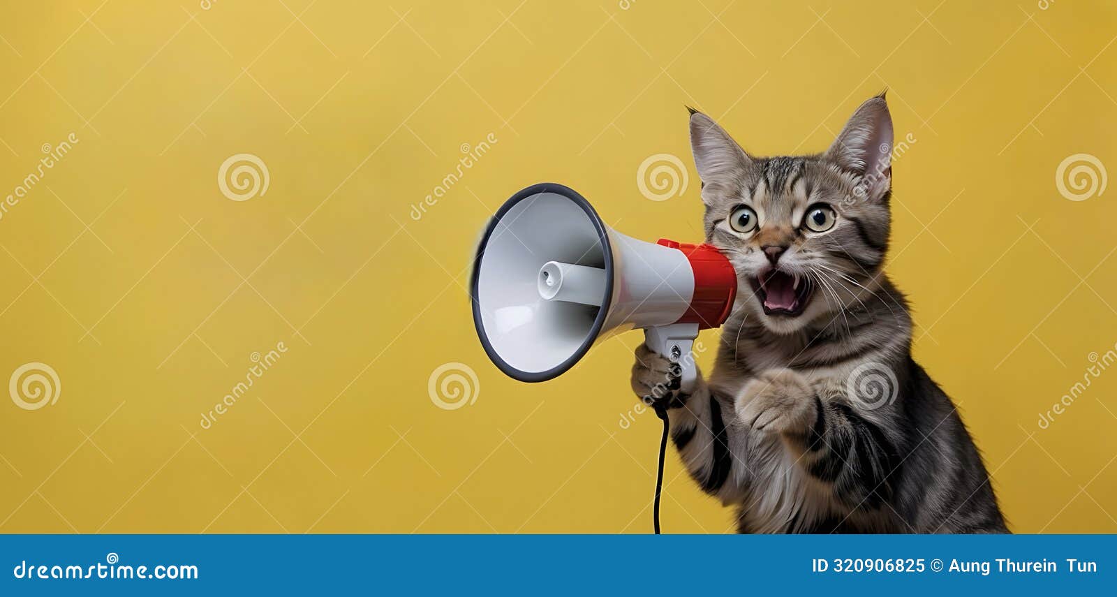A Funny Cat Screaming with Megaphone with an Isolated Background Stock ...