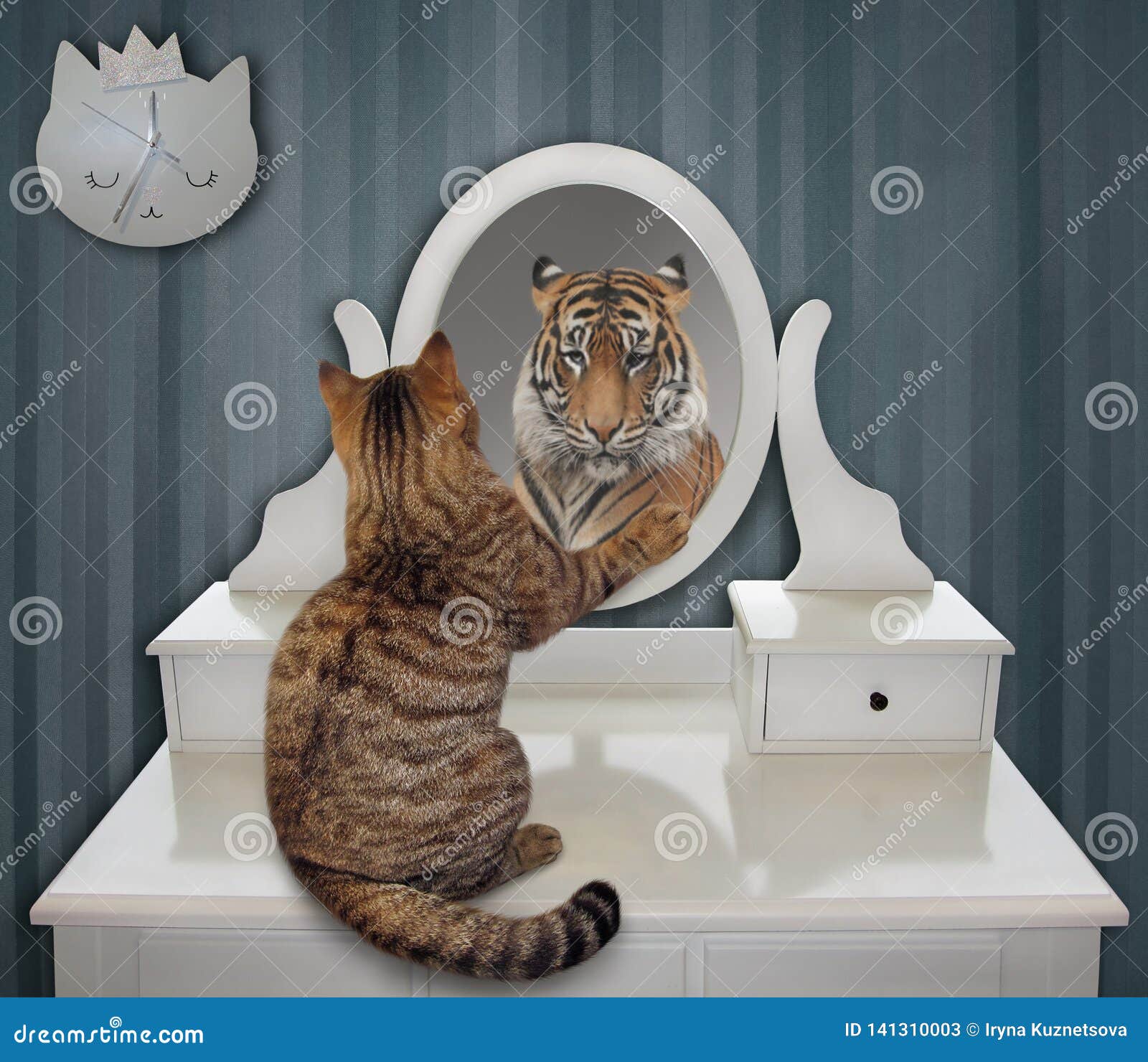 Cat views his reflection 3 stock image. Image of pier - 141310003