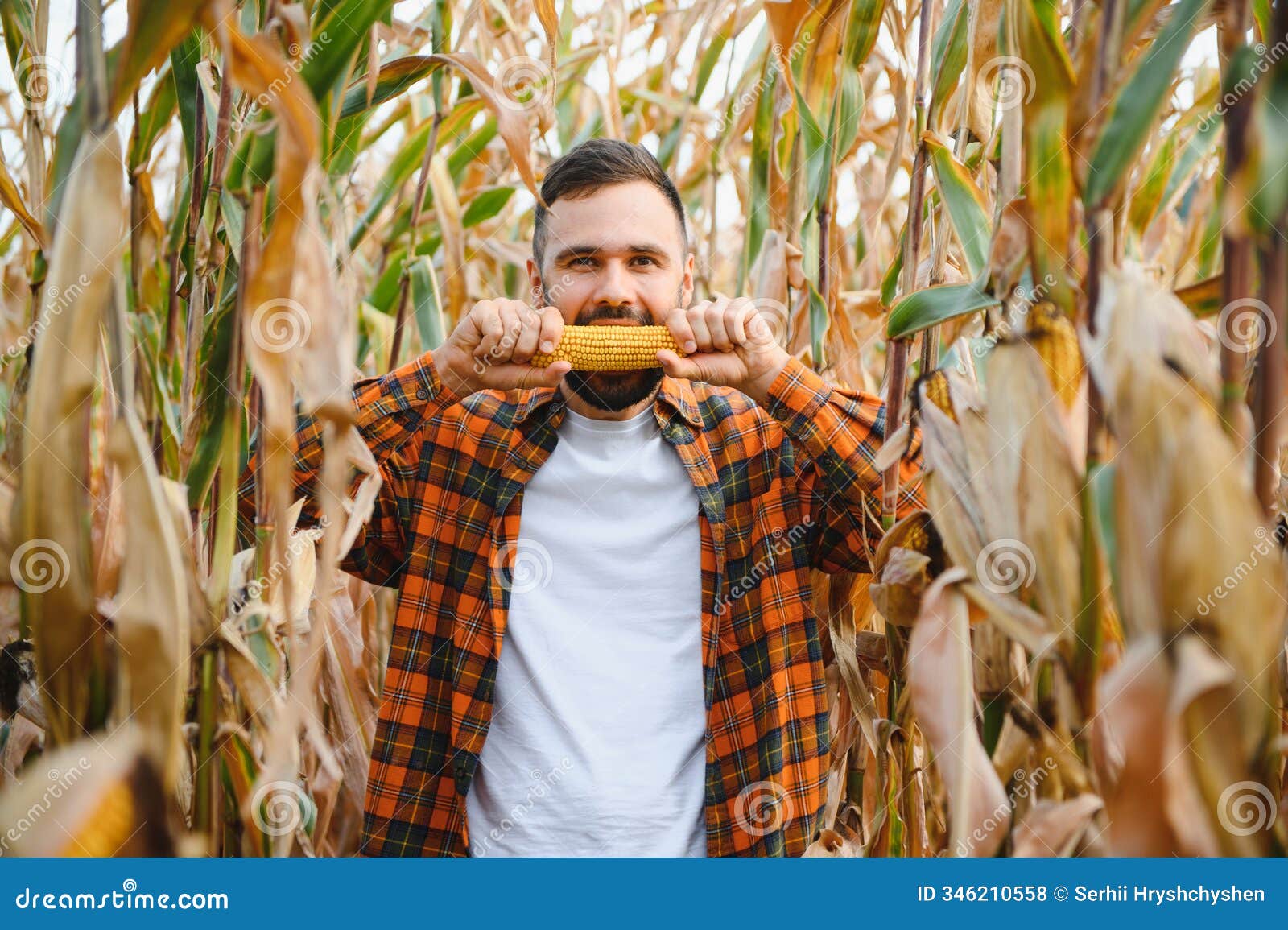 Funny and Cheerful Farmer Holding a Corn Cob in His Mouth Stock Photo ...