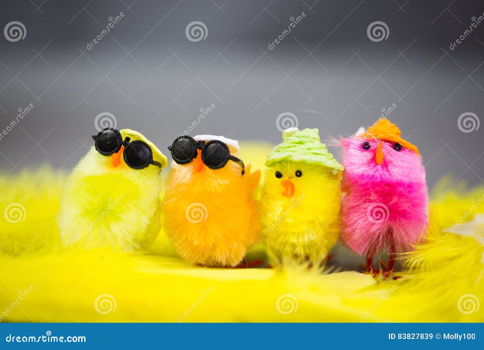 Funny Chicks On Colorful Eggs In Eggbox, Pink Background Royalty-Free ...