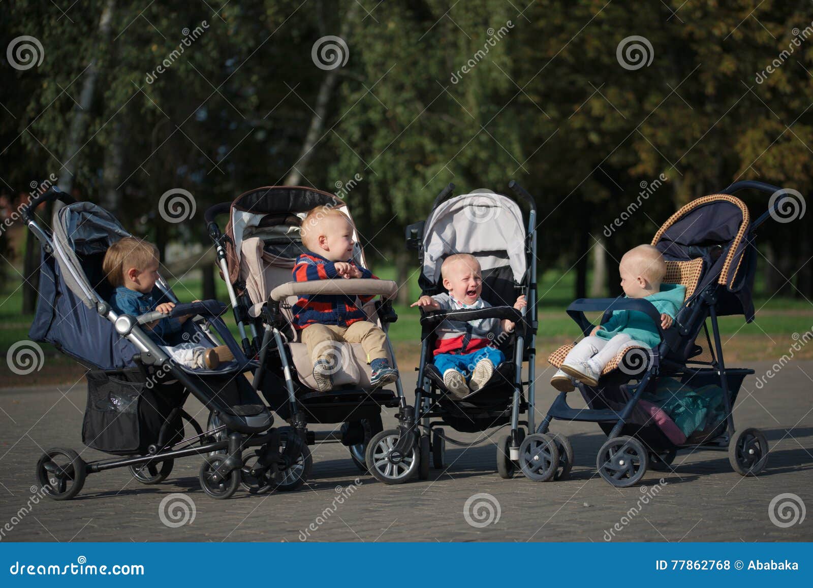 Funny Children Sitting in Strollers in Park Stock Photo - Image of ...