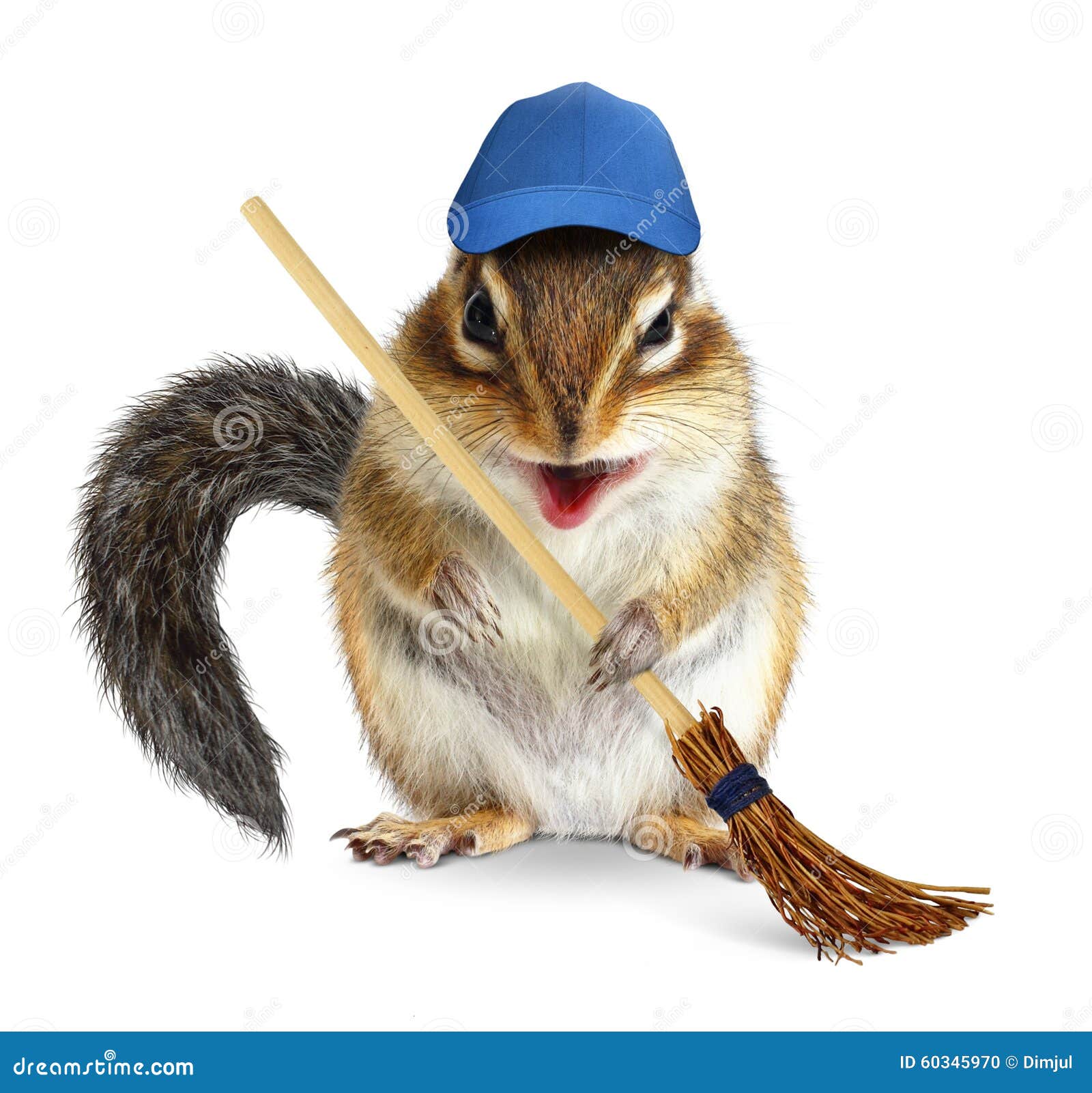 Funny Chipmunk with Broom, Cleaning Concept Stock Photo - Image of ...