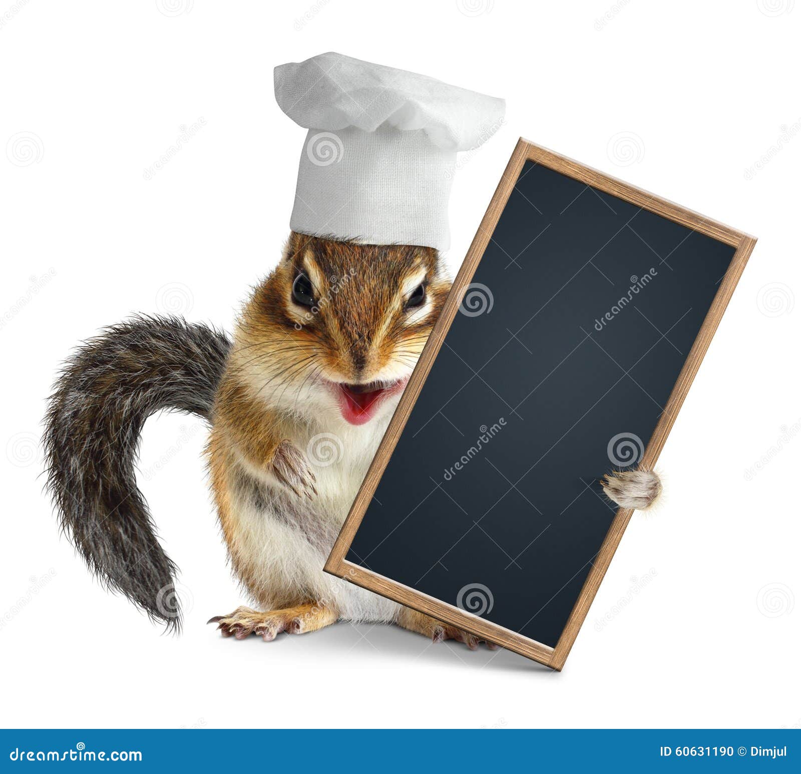 Funny Chipmunk With Chef Cook Hat Hold Empty Menu Blackboard Stock ...