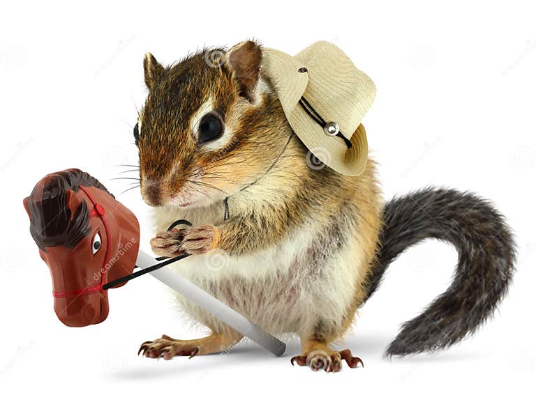 Funny chipmunk cowboy stock photo. Image of sheriff, texas - 26593076