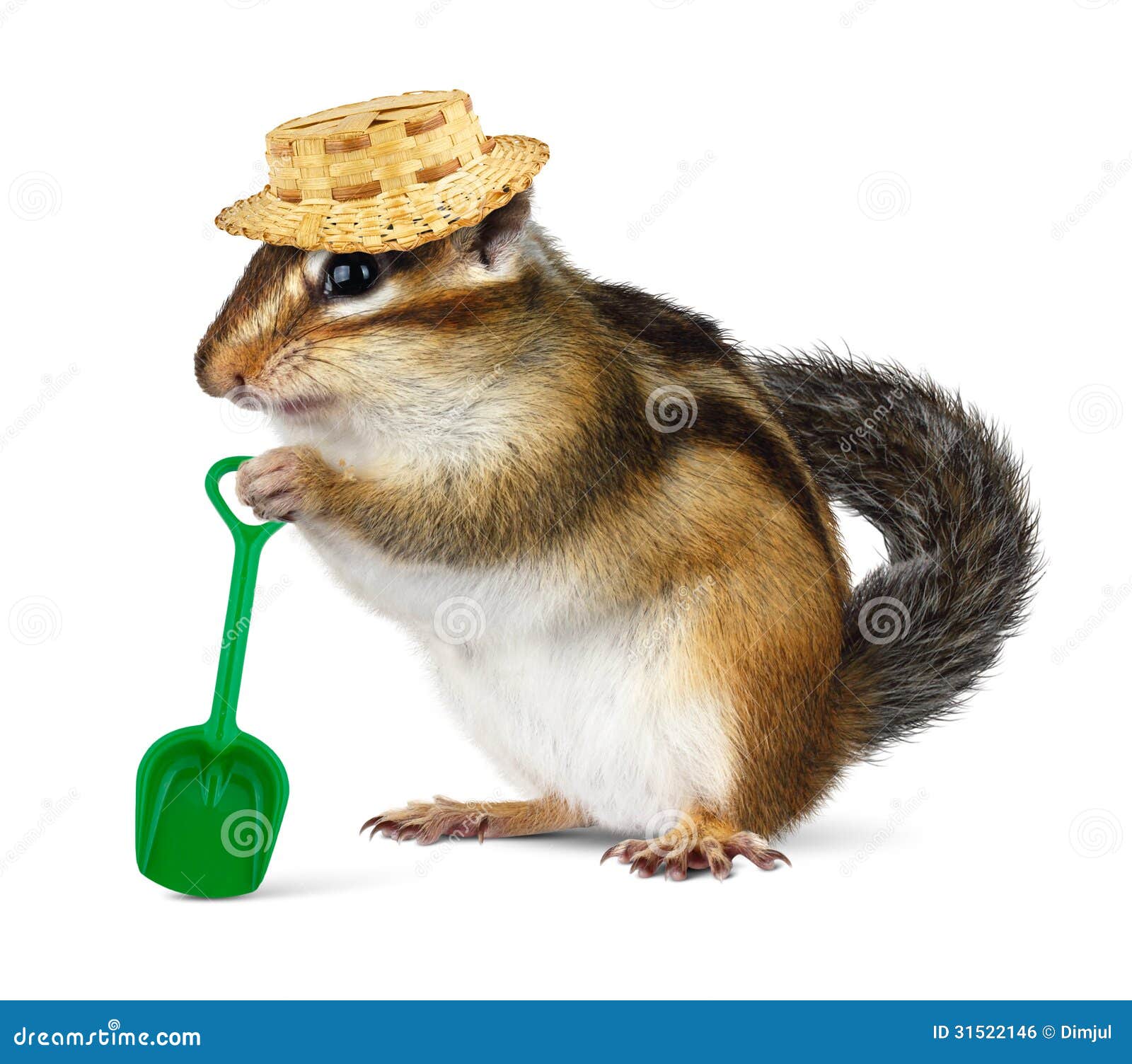 Funny Chipmunk With Detonator Isolated On White Royalty-Free Stock ...