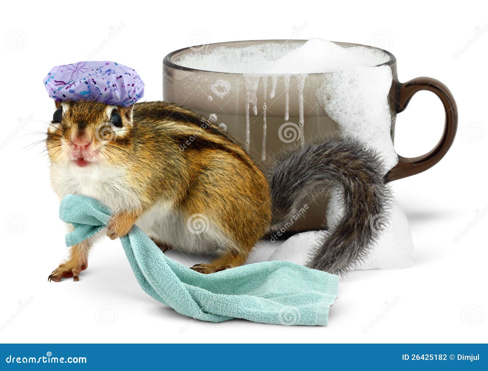 Funny Chipmunk Taking a Bath Stock Photo - Image of concept, humor ...