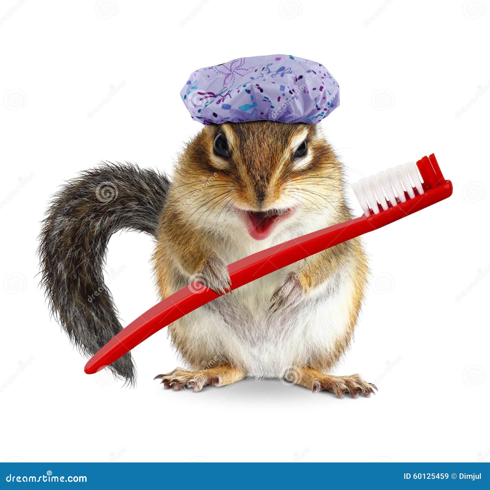 Funny Chipmunk with Toothbrush and Shower Cap, Isolated on White Stock ...