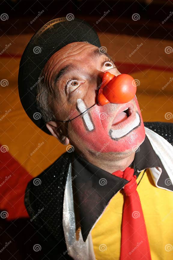 Funny clown stock image. Image of entertainment, male - 7751927