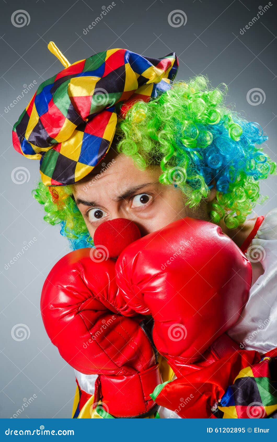 The Funny Clown in Comical Concept Stock Image - Image of comedy, boxer ...