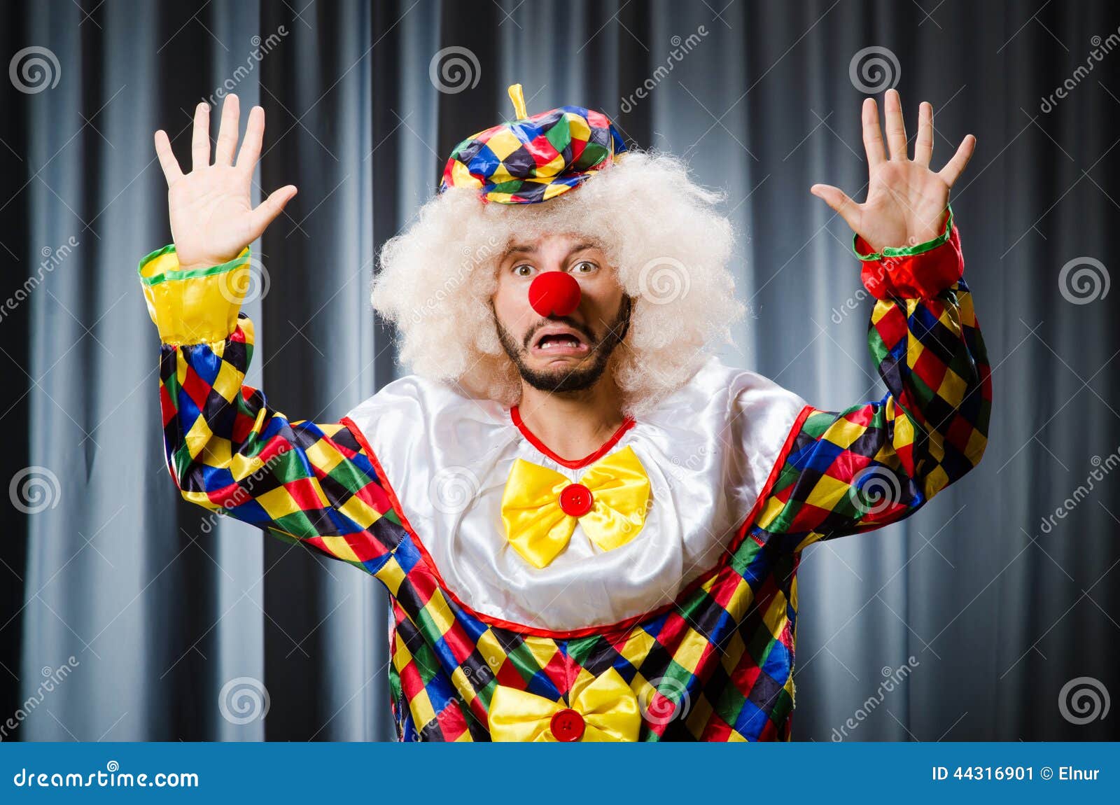 Funny Clown in Humorous Concept Stock Image - Image of birthday, funny ...