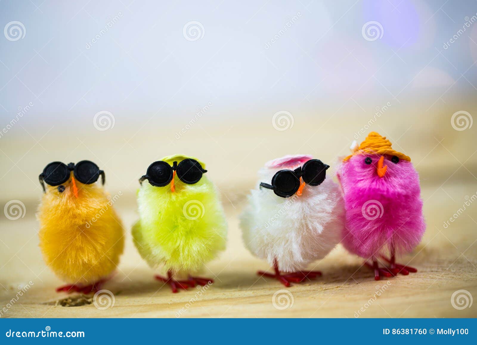 Funny Chick Pictures