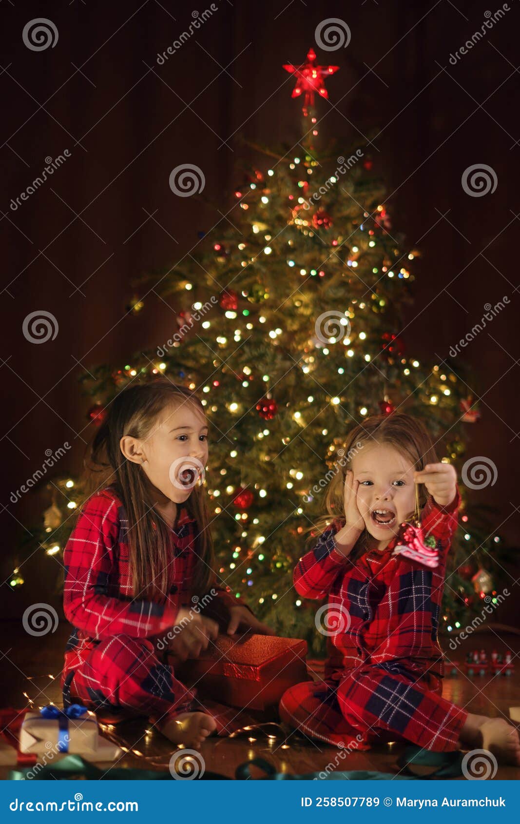 Funny Comical Sisters with Surprised Faces Take Christmas Tree ...