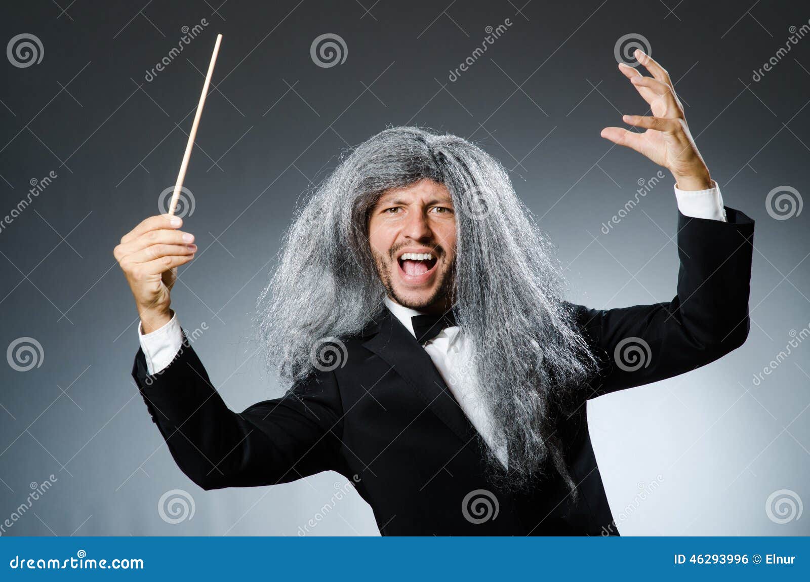 Funny conductor stock photo. Image of humour, baton, furry - 46293996