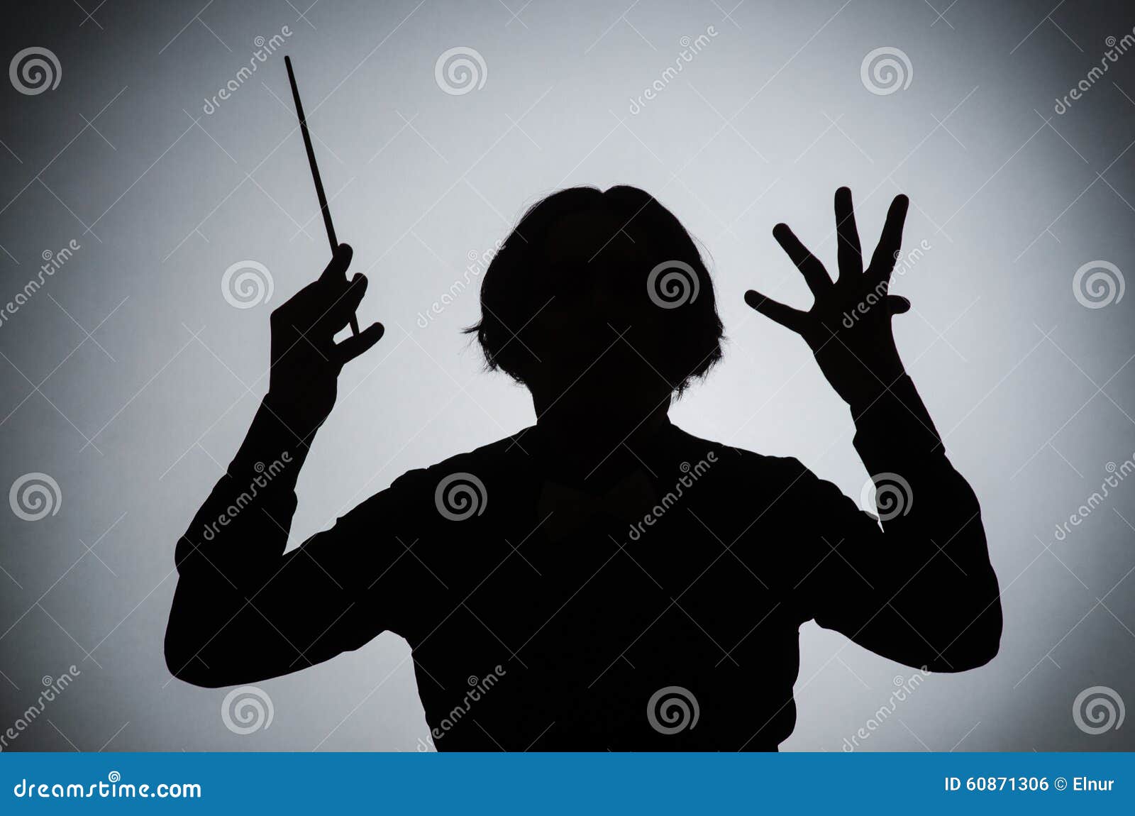 Female Conductor Silhouette