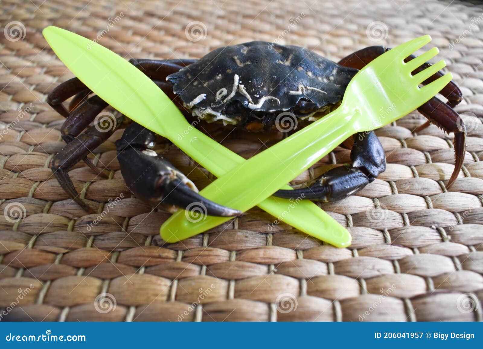 Funny Crab on a Wicker Background Stock Image - Image of diet, live ...