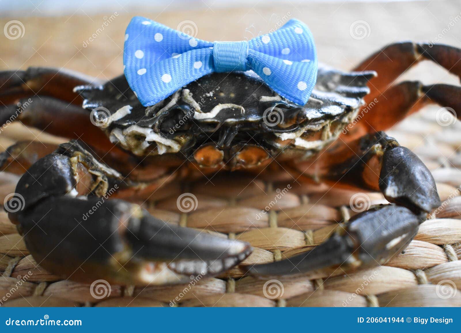 Funny Crab Stock Image | CartoonDealer.com #23743795