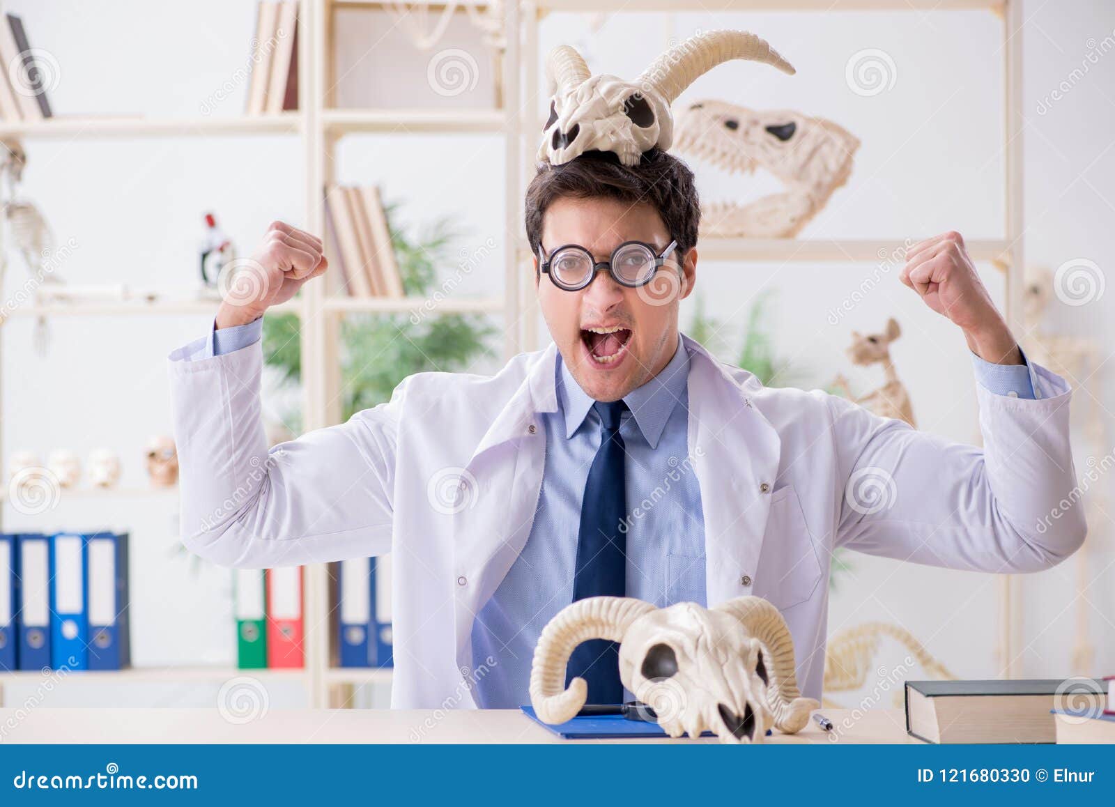 The Funny Crazy Professor Studying Animal Skeletons Stock Photo - Image ...