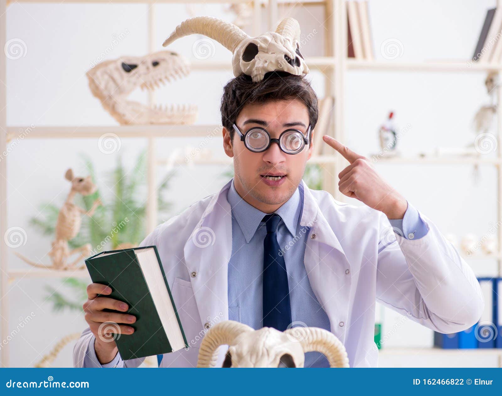 Funny Crazy Professor Studying Animal Skeletons Stock Photo - Image of ...