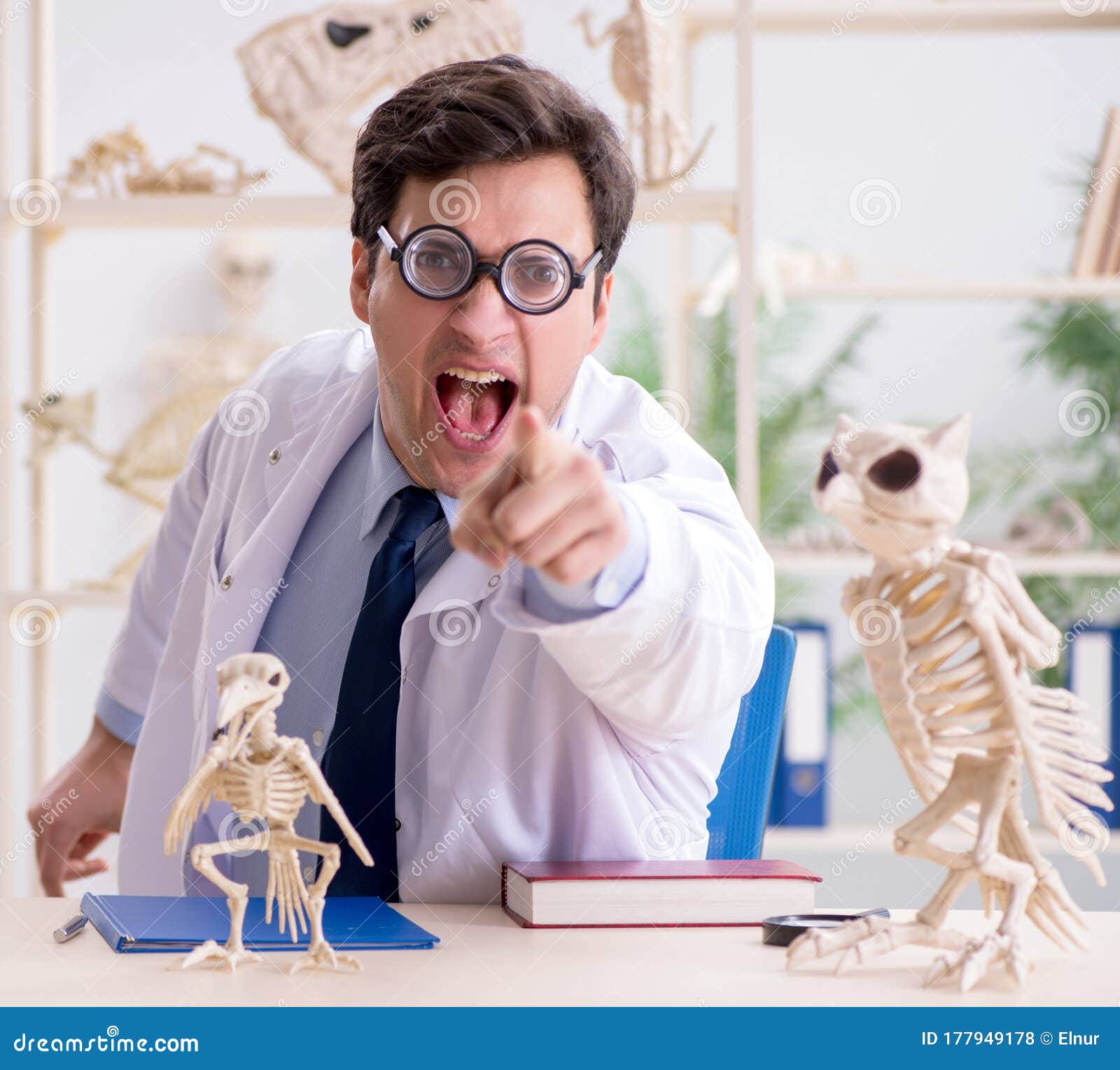 Funny Crazy Professor Studying Animal Skeletons Stock Photo - Image of ...