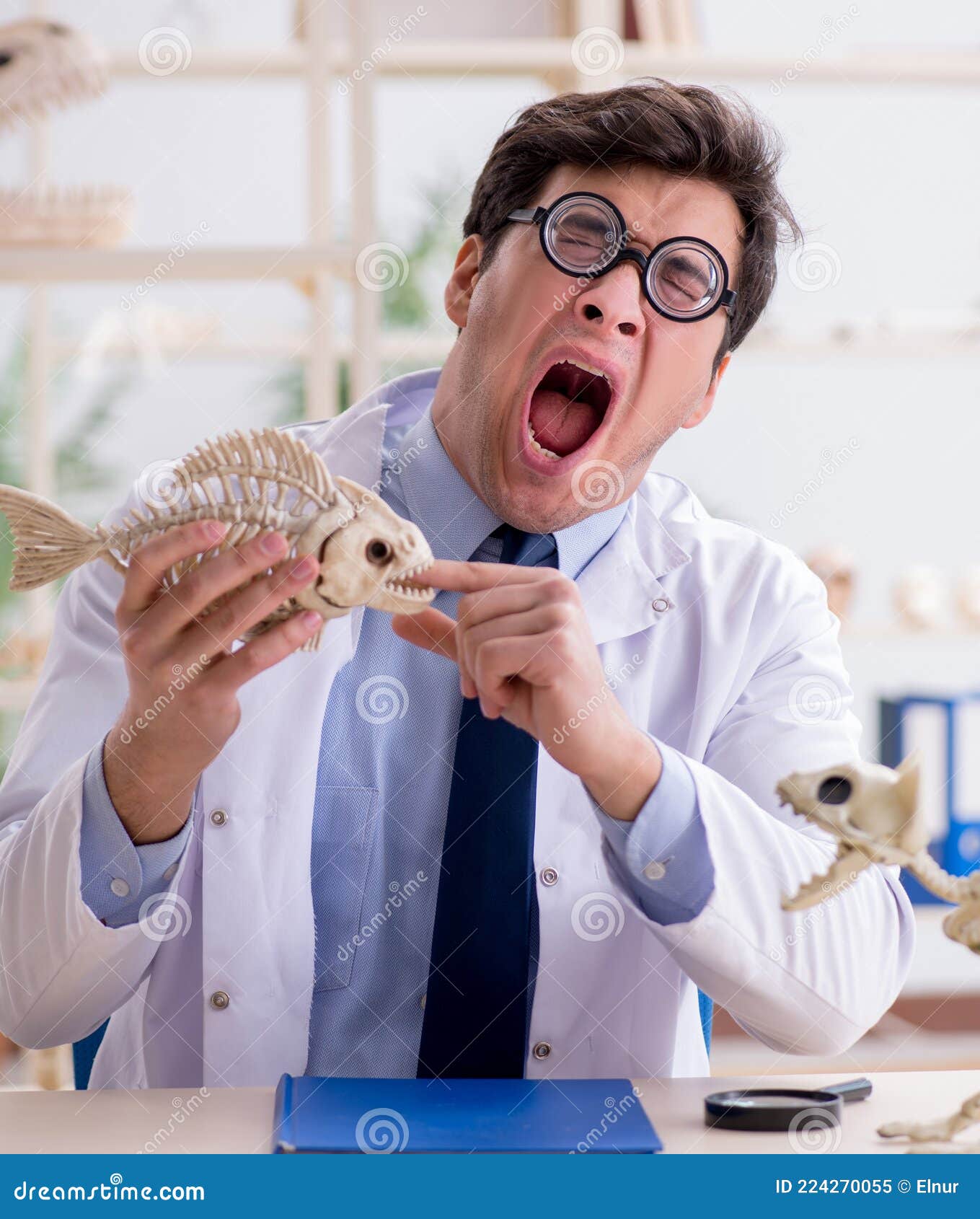 Funny Crazy Professor Studying Animal Skeletons Stock Image - Image of ...