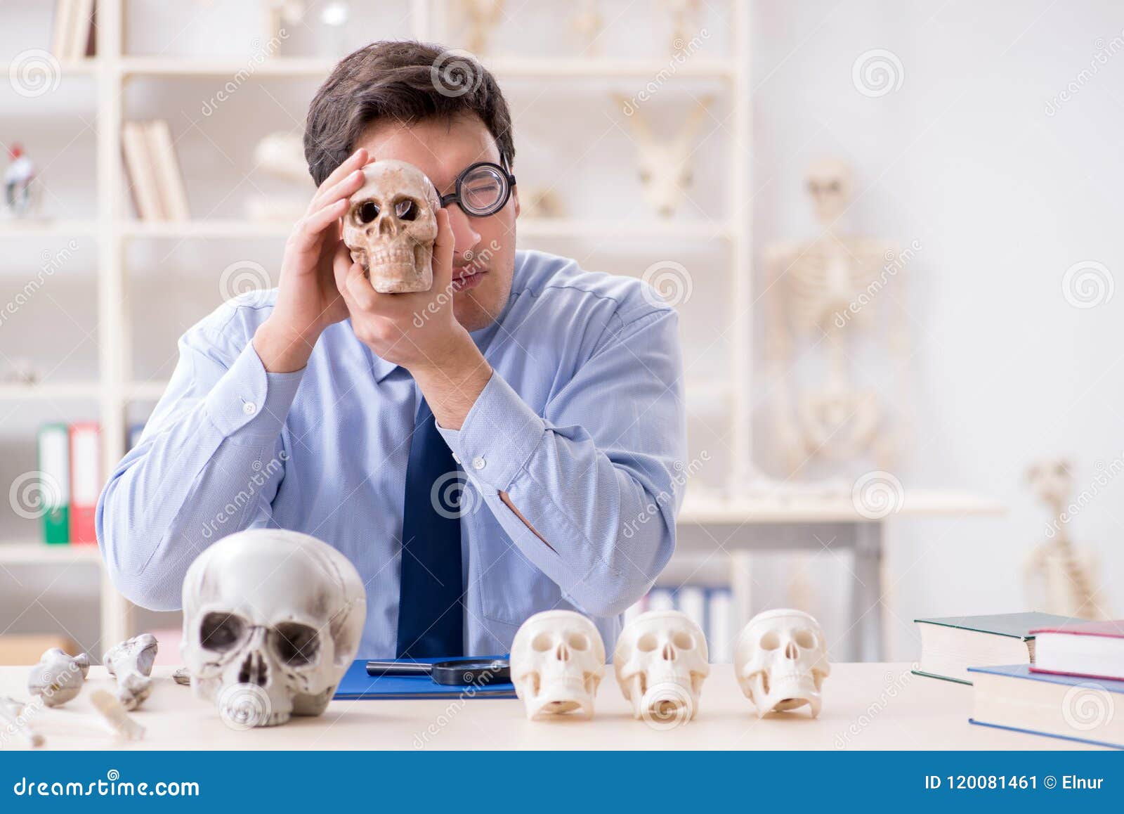 The Funny Crazy Professor Studying Human Skeleton Stock Image - Image ...