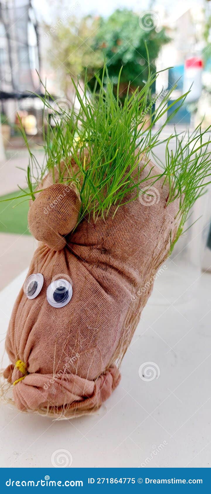 Funny Cute Green Grass Head Stock Image - Image of grass, head: 271864775