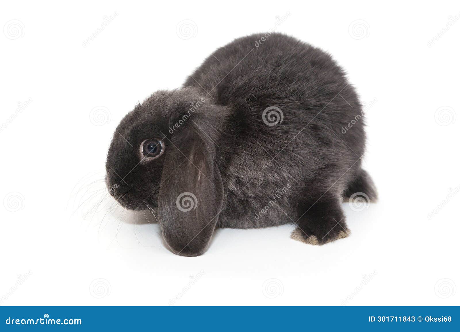 Funny Decorative Fold Rabbit, Isolated on a White Background Stock ...
