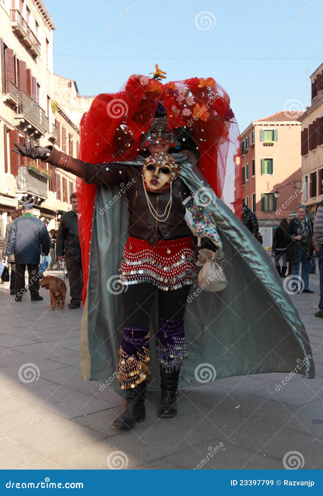 Funny disguised woman editorial stock image. Image of style - 23397799