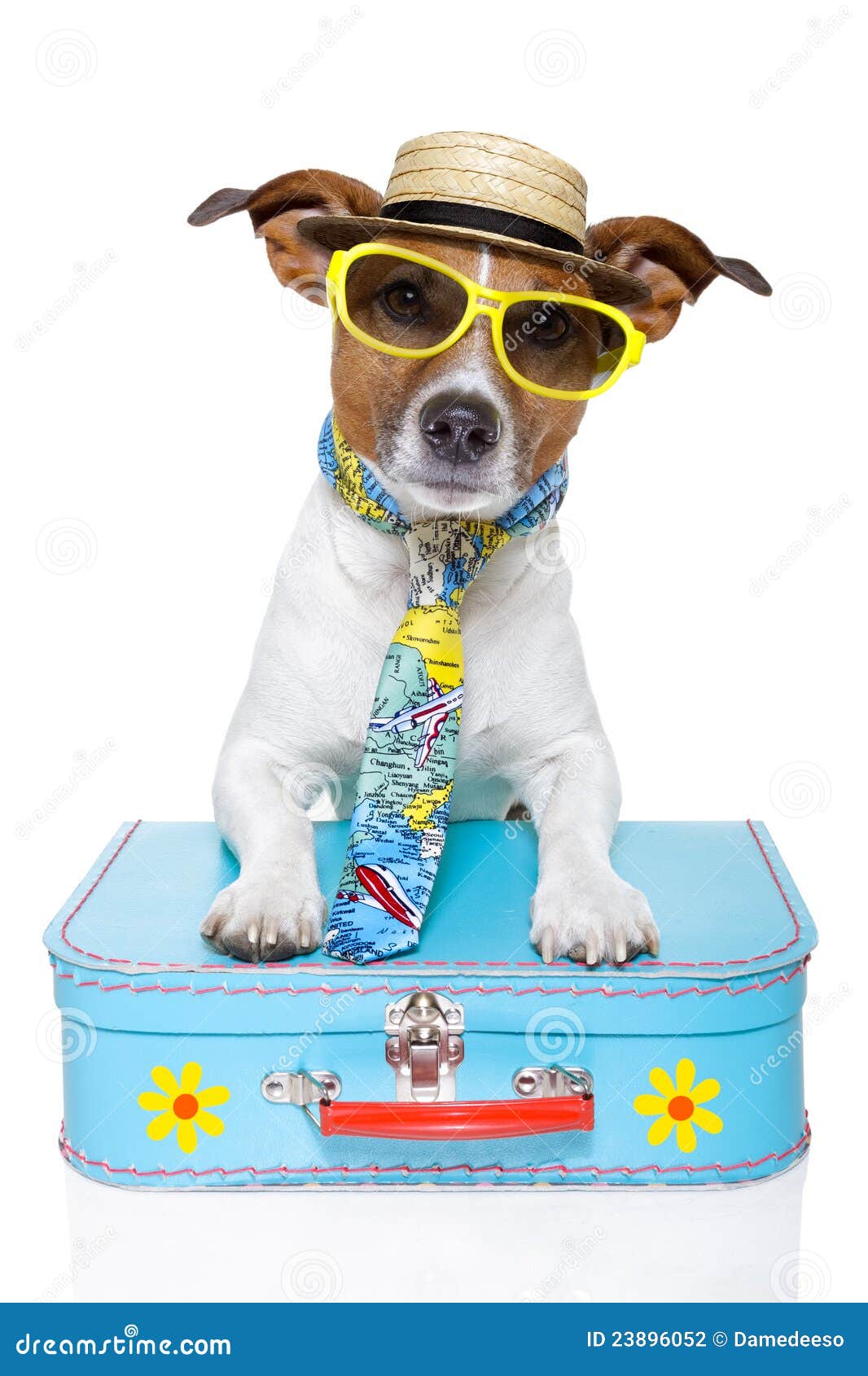 Funny dog as a tourist stock photo. Image of blue, humor - 23896052