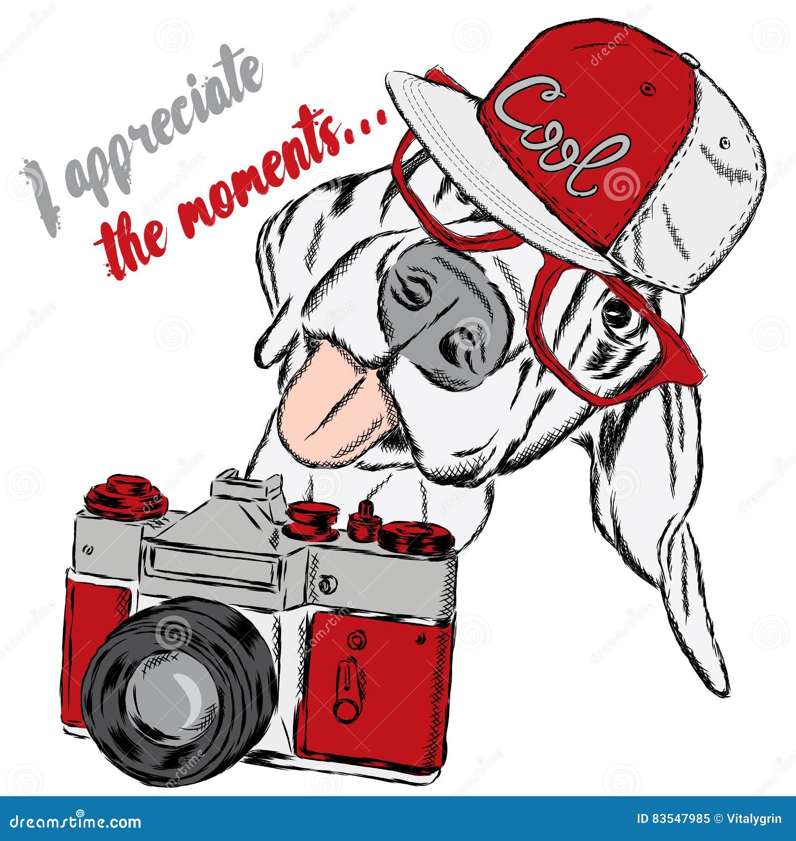 Funny dog with a camera. stock vector. Illustration of funny - 83547985