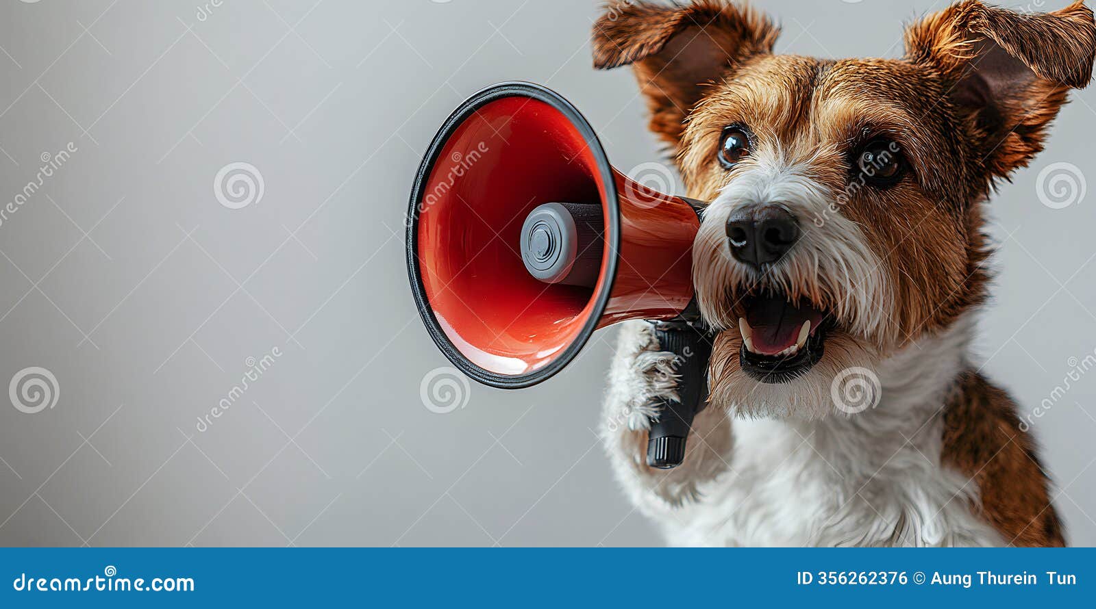 A Funny Dog Holding a Megaphone and Announcing with an Isolated ...