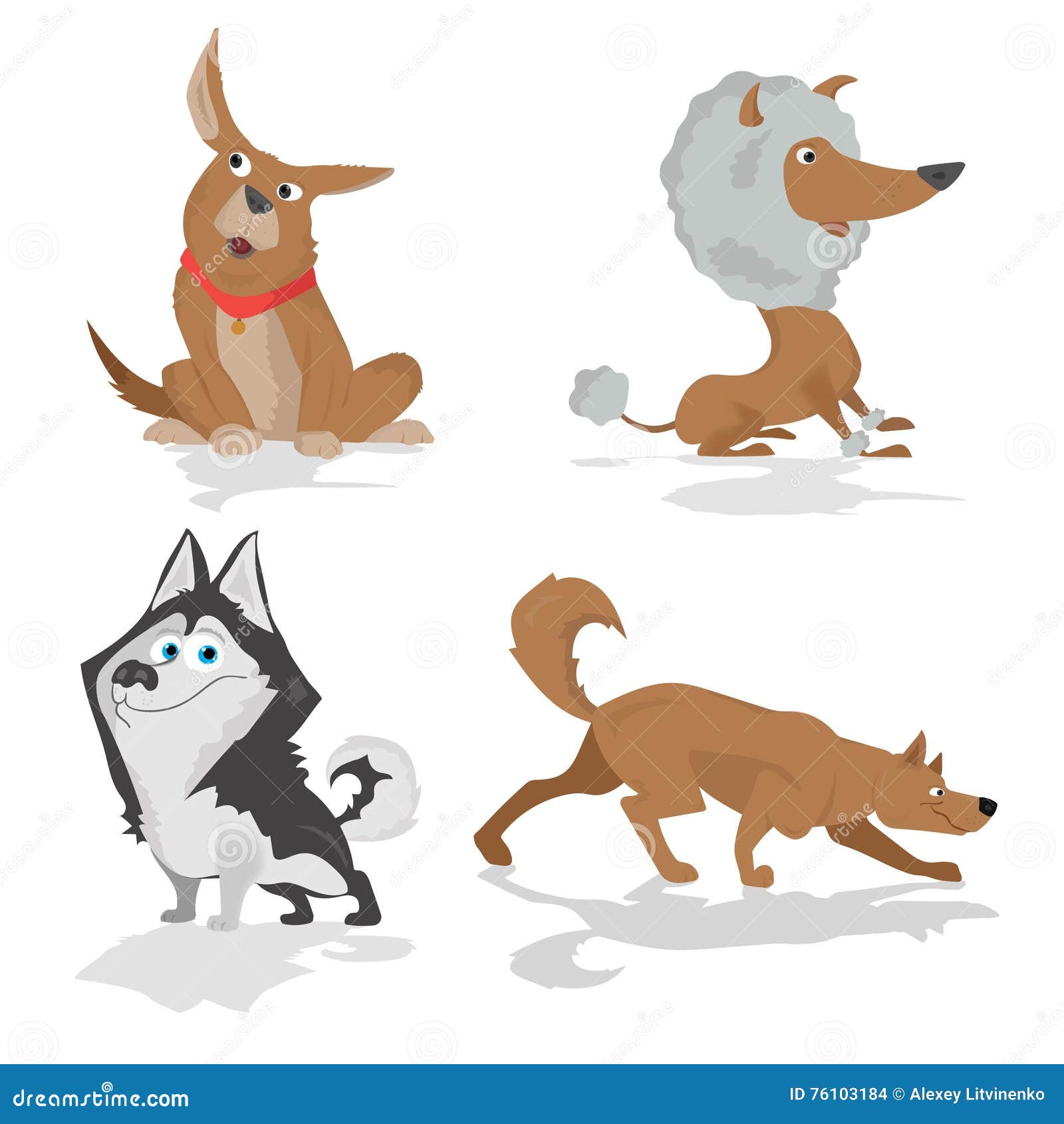 Funny Dogs of Various Breeds Standing in Side View Set on White Stock ...