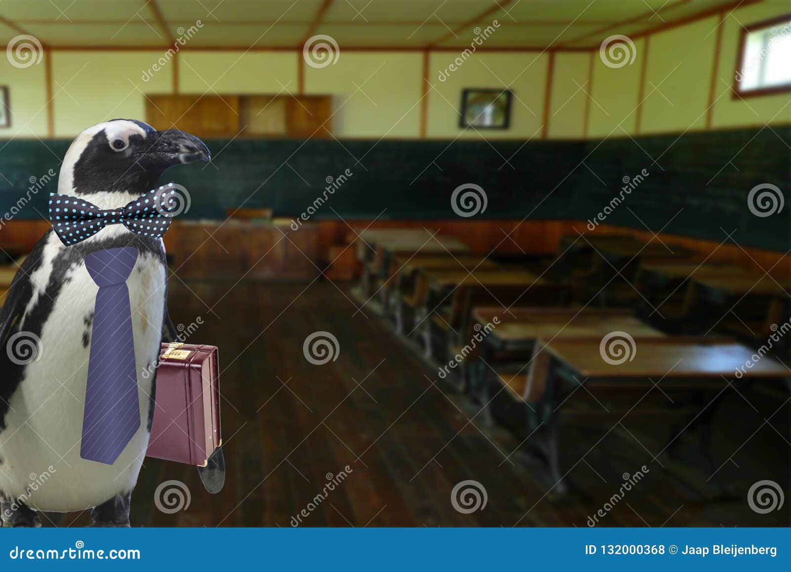 Funny Dressed Up Penguin Teacher with Suitcase Standing in a Empty ...