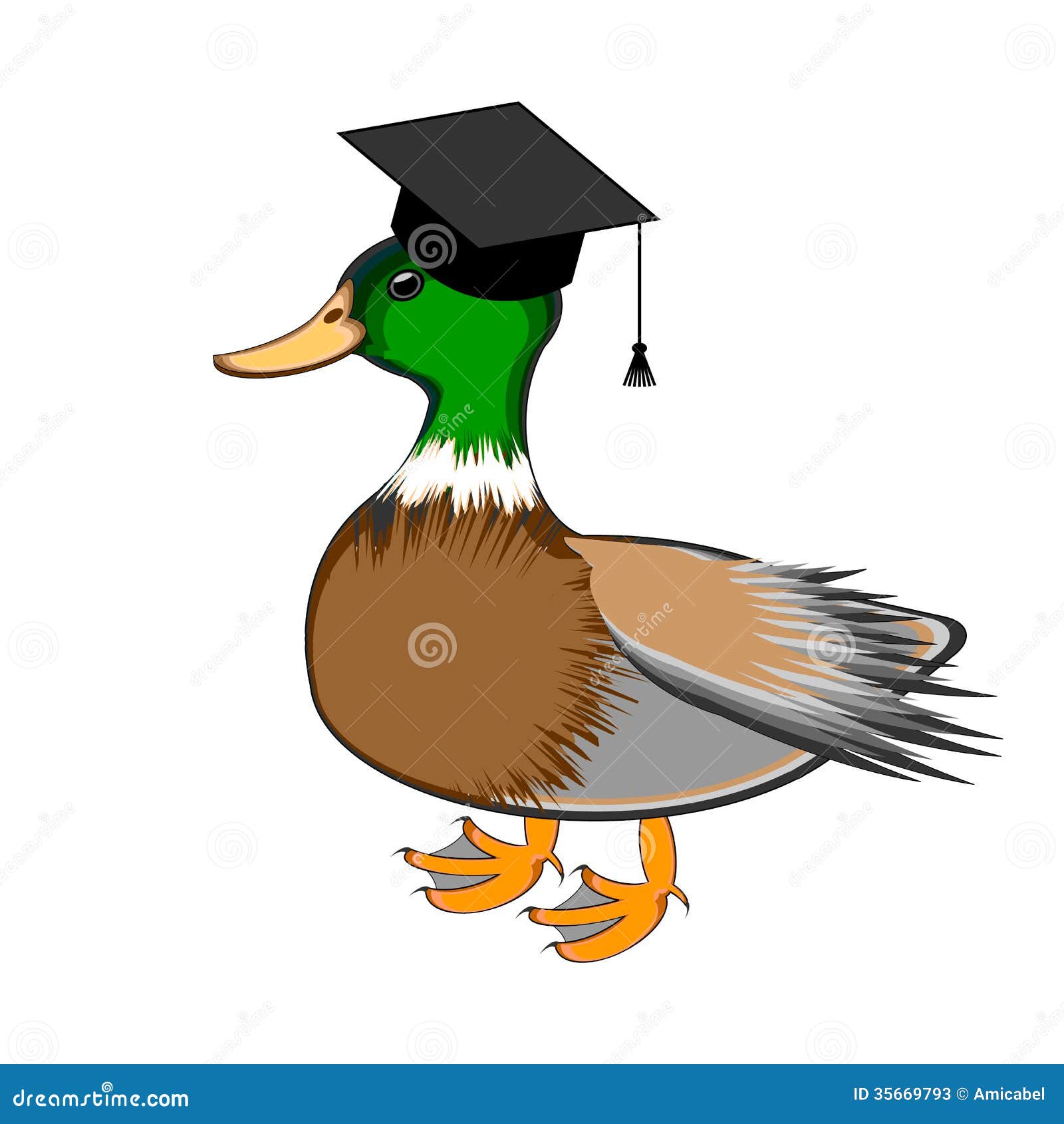 Duck Graduation Stock Illustrations – 19 Duck Graduation Stock ...