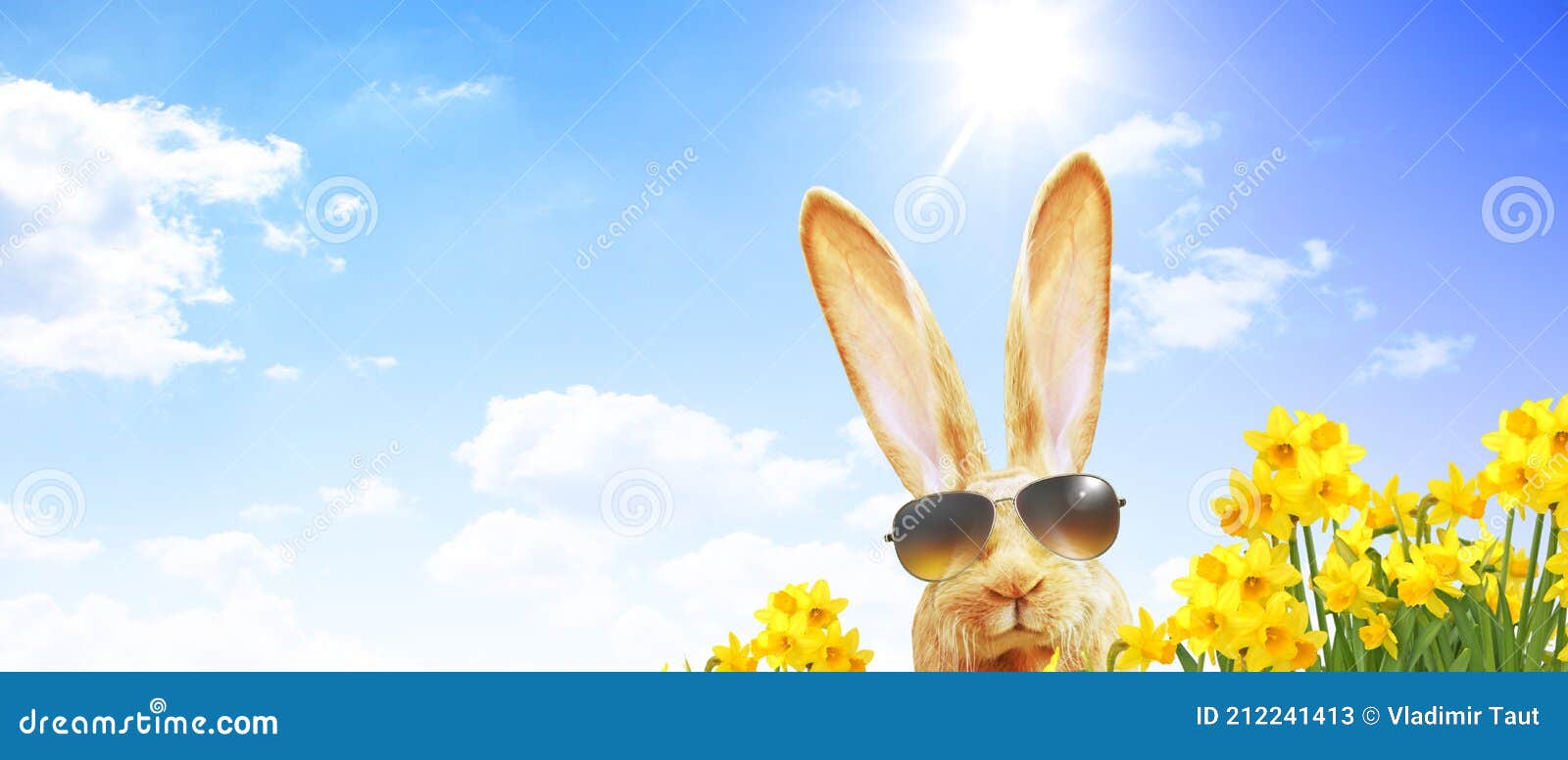 Funny Easter Rabbit With A Blue Wheelbarrow And A Red Easter Egg Stock ...