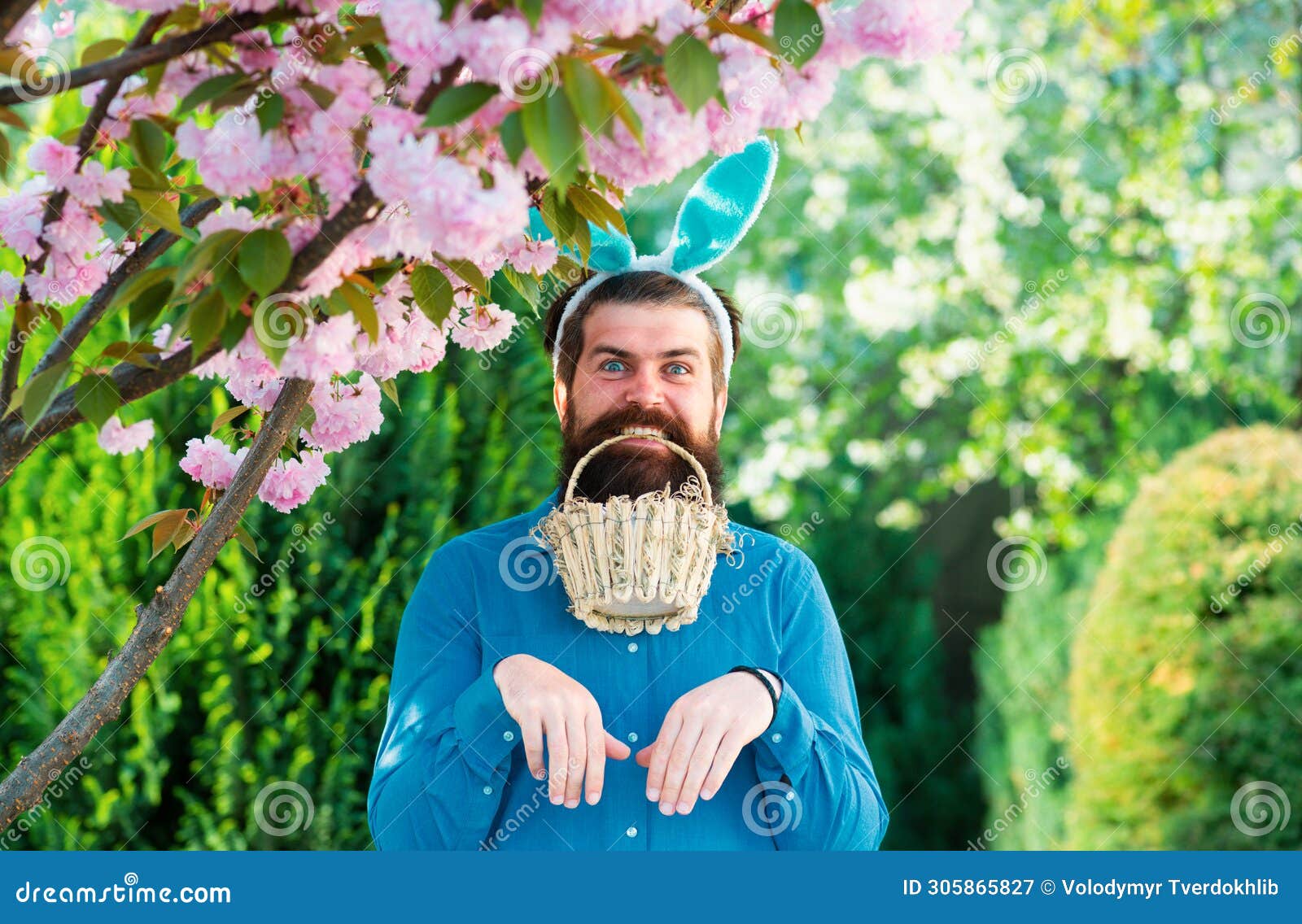 Funny Easter Egg Hunt. Humorous Series of a Man in Bunny Suit. Good for ...