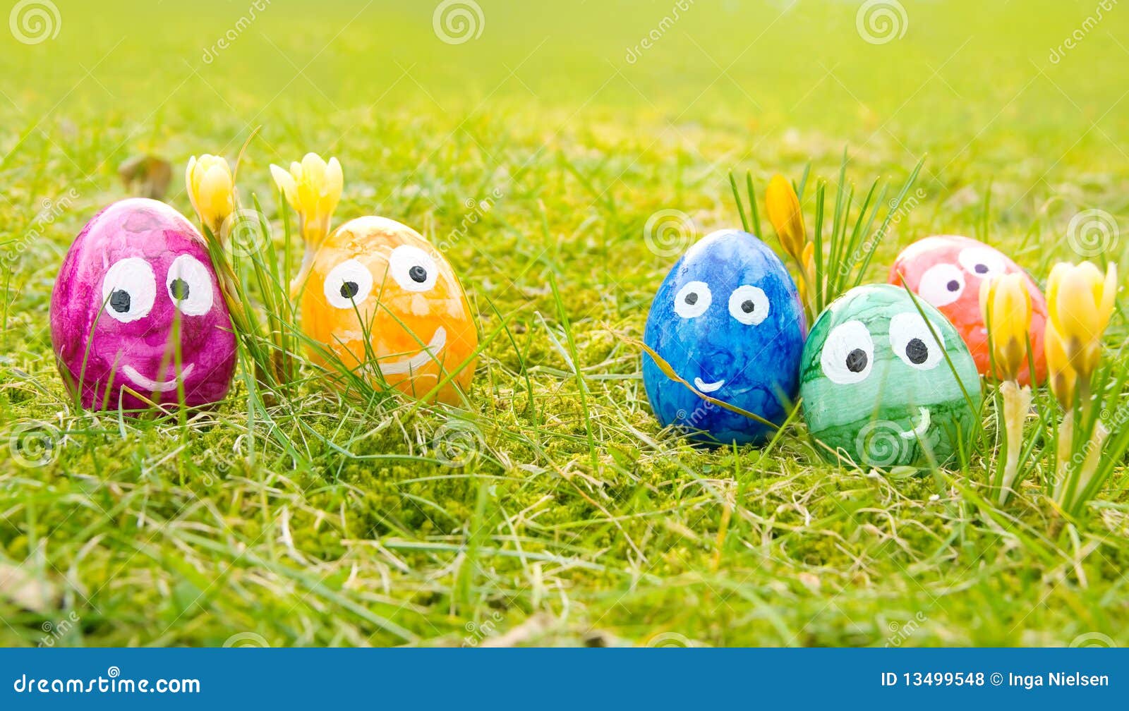 Funny easter eggs stock photo. Image of plant, cute, green - 13499548
