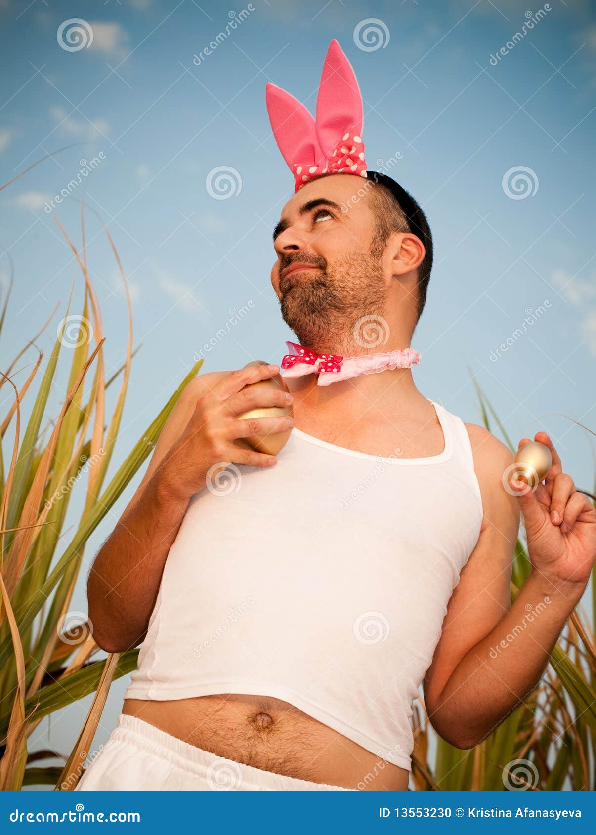 Funny Easter Rabbit stock photo. Image of field, front - 13553230