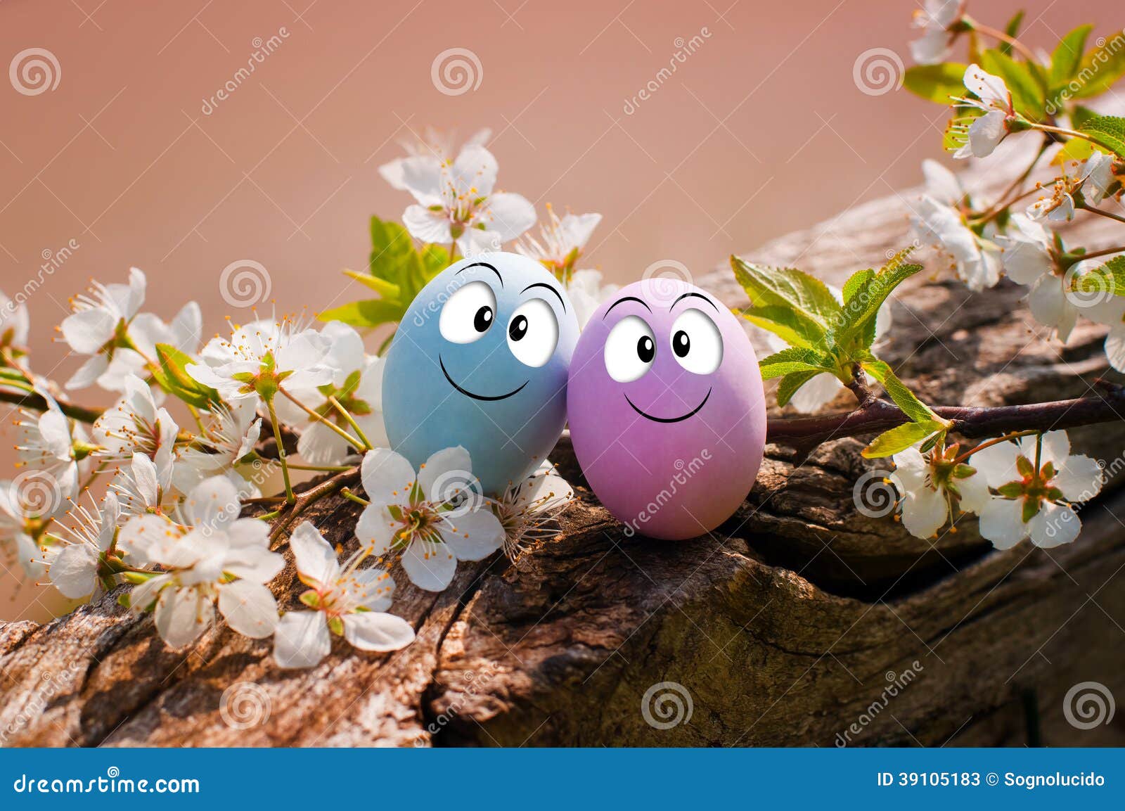 Funny Eggs for Happy Easter Stock Image - Image of festive, tradition ...