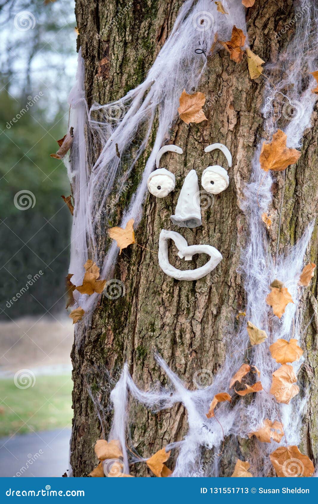 Funny face on a fall tree stock image. Image of trunk - 131551713
