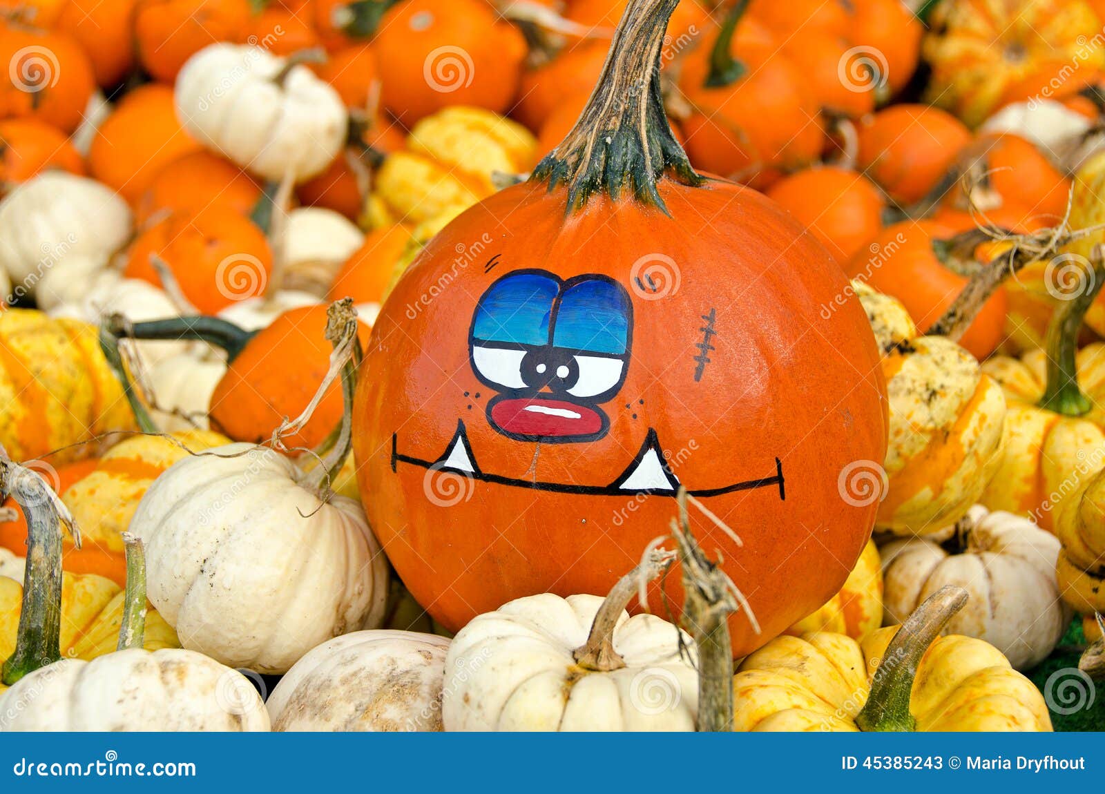 Funny Face Pumpkin in Gourds Stock Image - Image of bright, food: 45385243