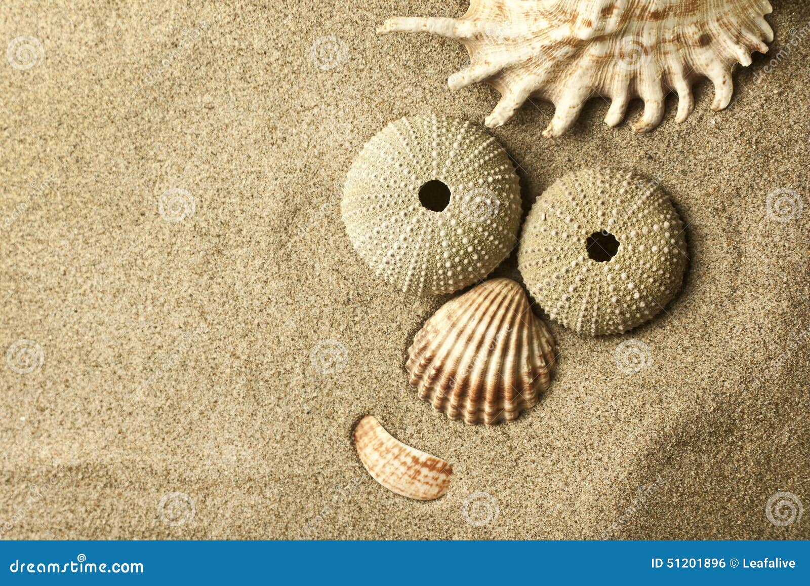 Funny face in the sand stock photo. Image of design, ocean - 51201896