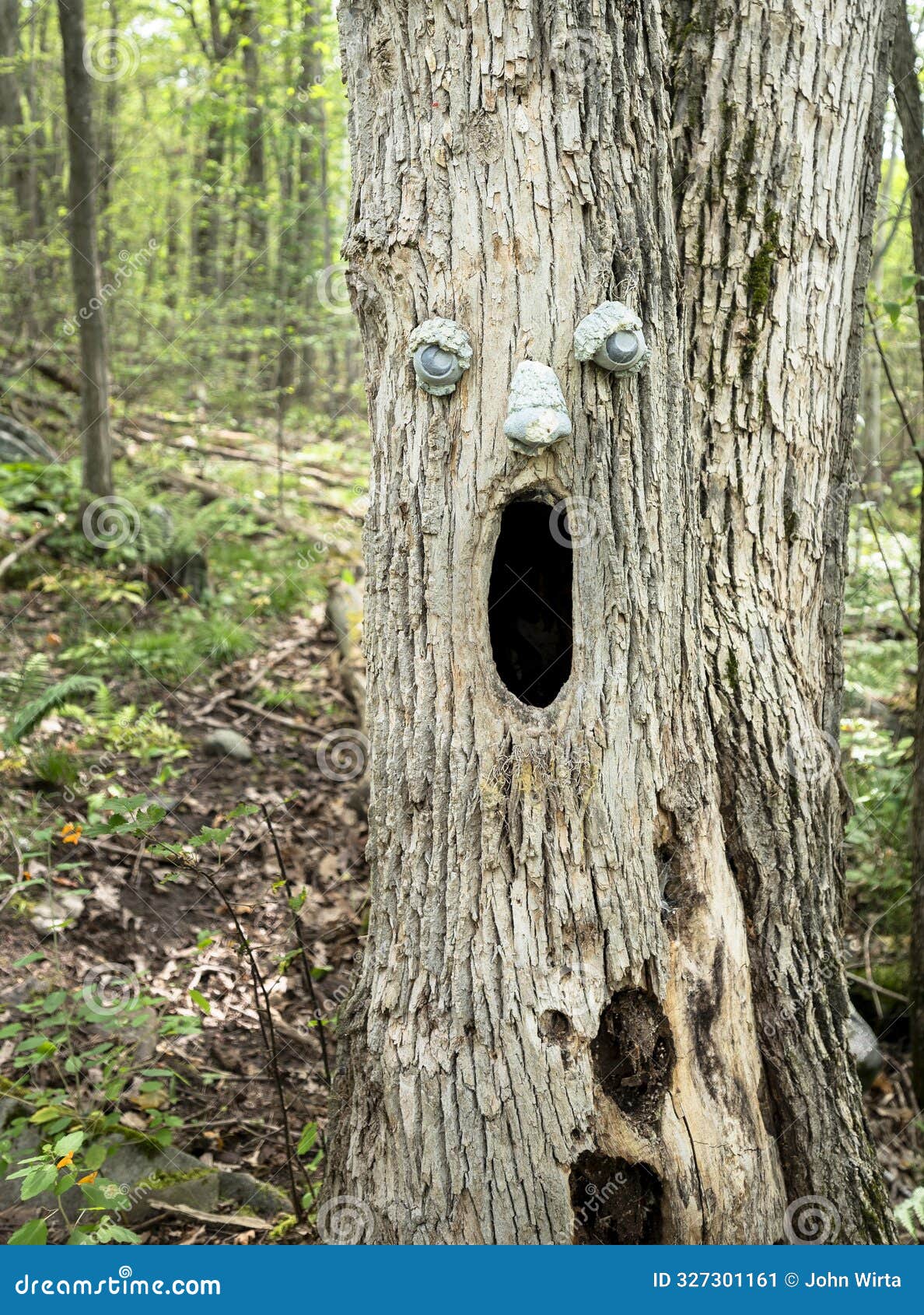 Funny Face with Surprised Look Made on a Hollow Tree with Coarse ...