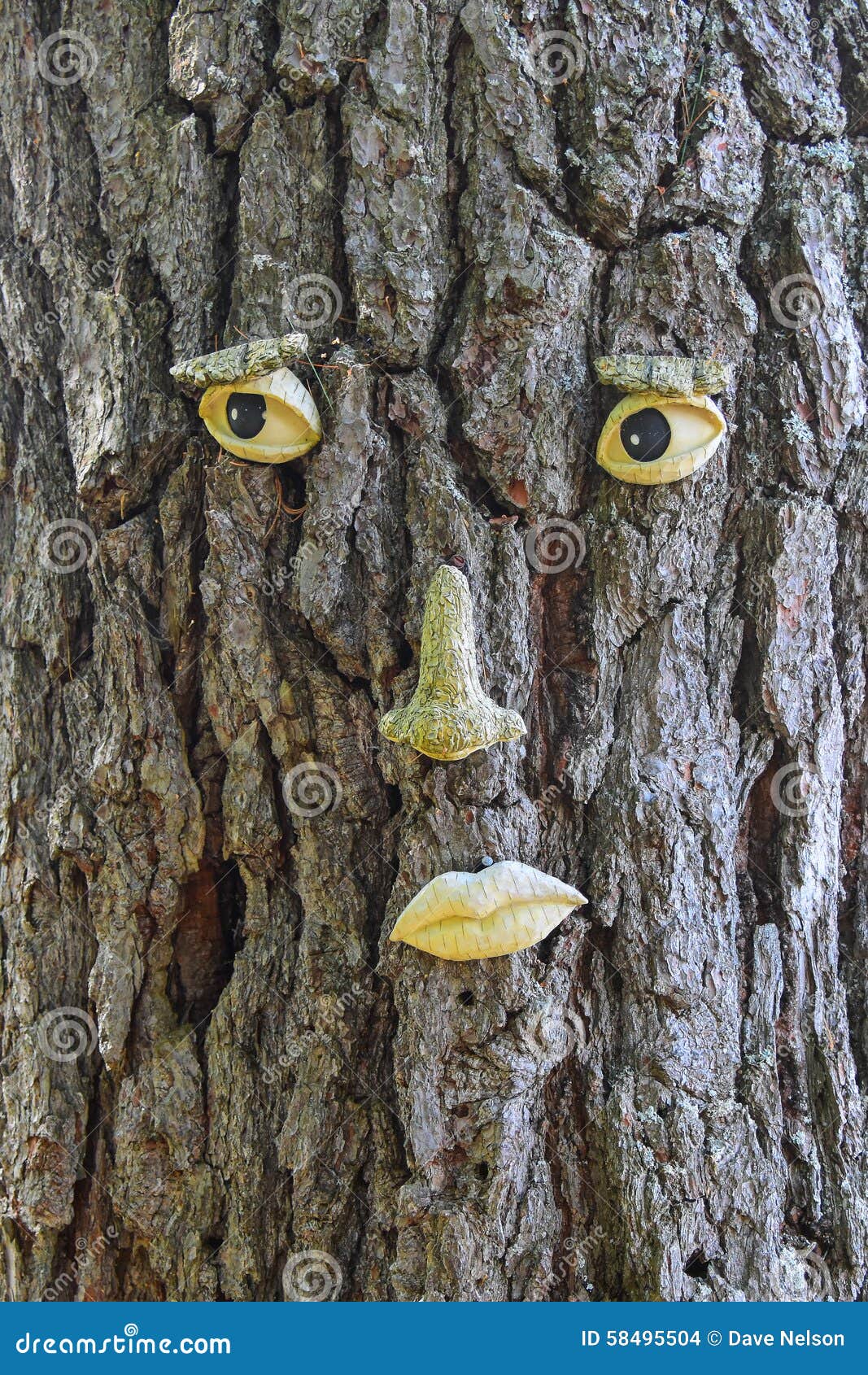 Funny face on tree bark stock photo. Image of artistic - 58495504