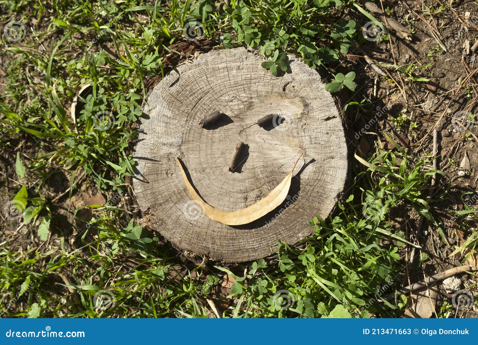 Funny Face on Tree Stump in the Forest Stock Image - Image of ...
