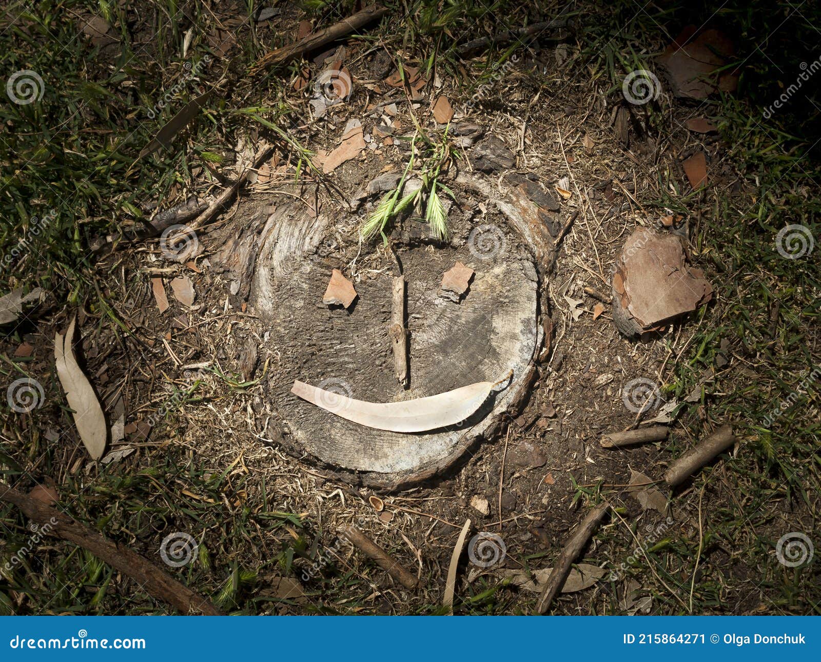 Funny Face on Tree Stump in the Forest Stock Image - Image of sticks ...
